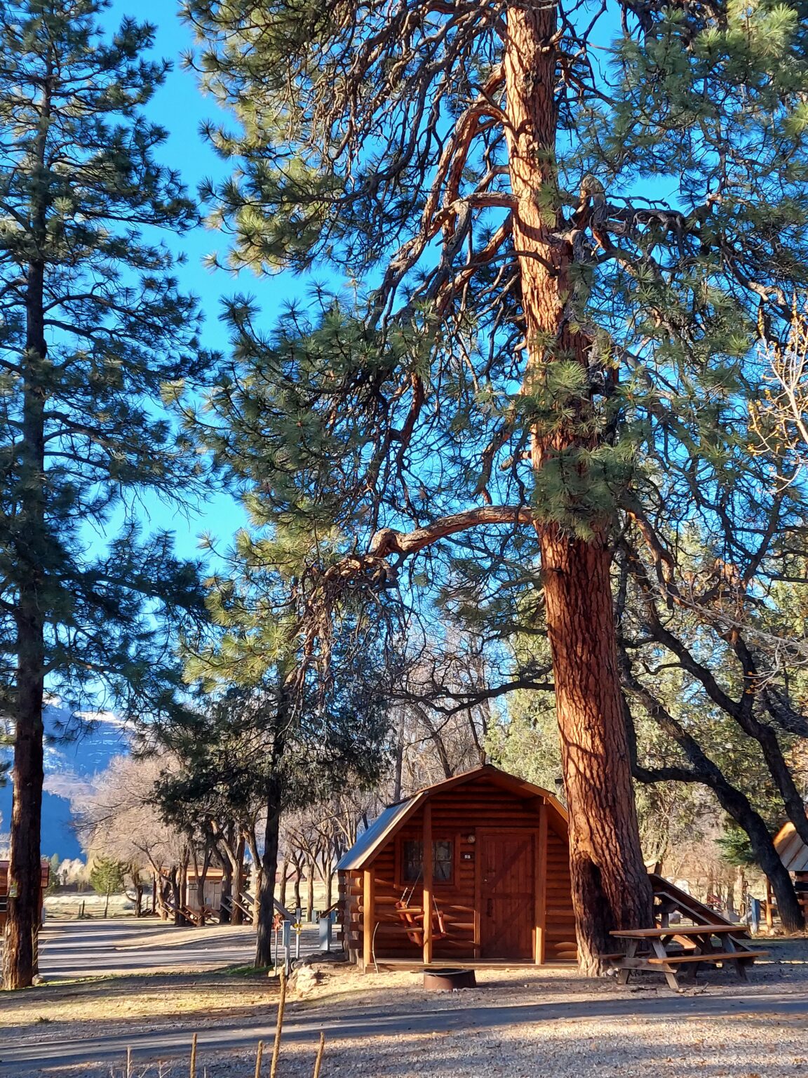 Cabin Rentals - JW Durango Riverside Resort